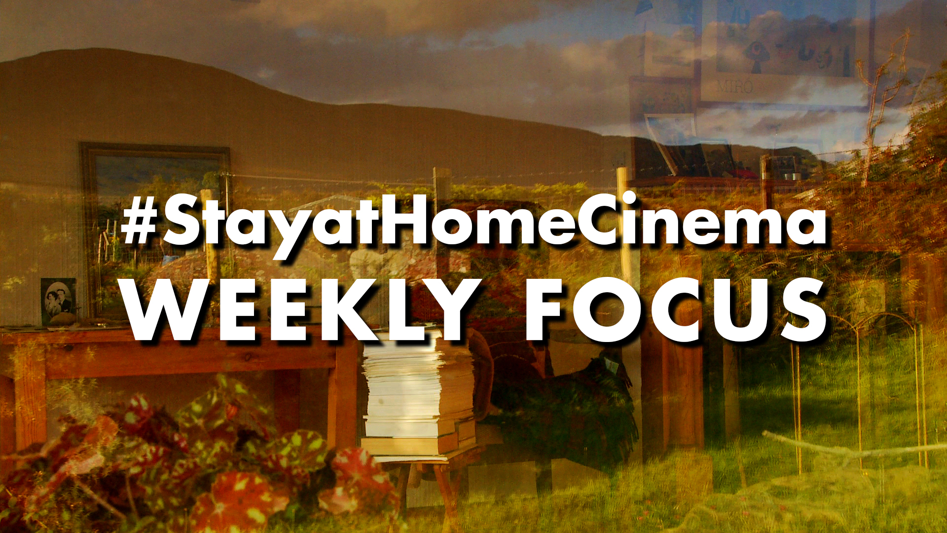 Free Films for These Cocooning Times - Anú Pictures